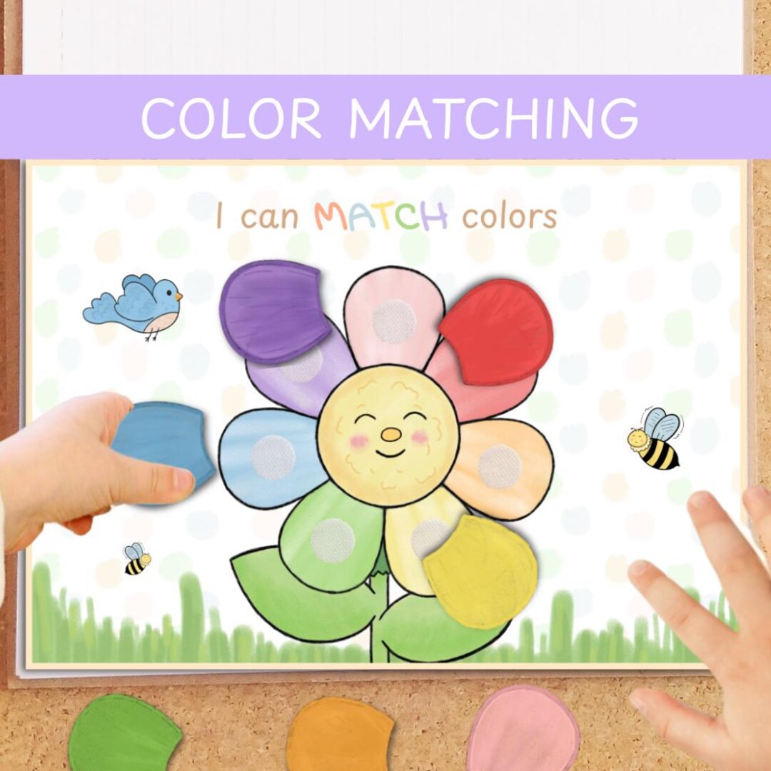 Montessori Color Matching Activity for Toddlers Homeschooling Resources ...