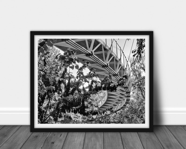 Greenville SC Print, Photo Liberty Bridge, South Carolina Black and ...