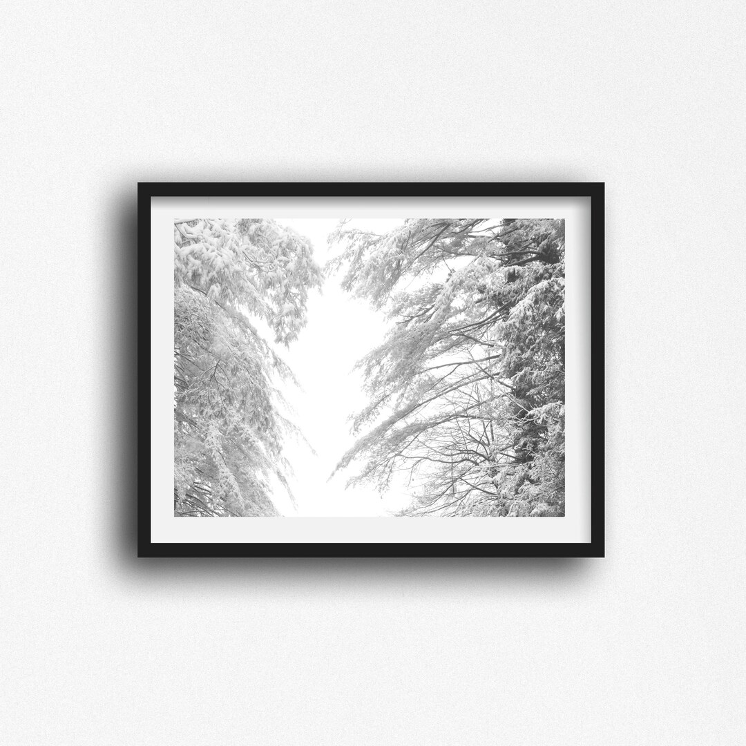 Snow Winter Photography, Tree Prints, Winter Landscape , Winter Decor ...