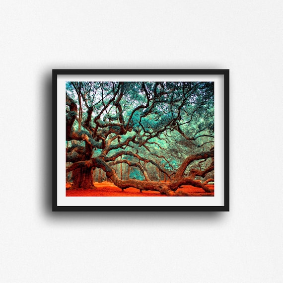 Angel Oak Tree Print Charleston SC Large Prints Angel Oak - Etsy