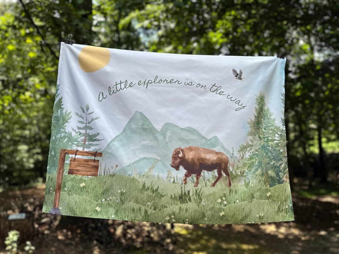 Custom Adventure Baby Shower Backdrop, National Park Photo Prop ...