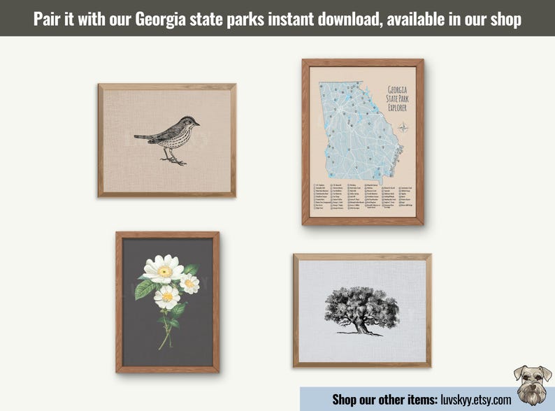 State of Georgia Wall Art, Atlanta Wall Decor, Cherokee Rose, Live Oak ...