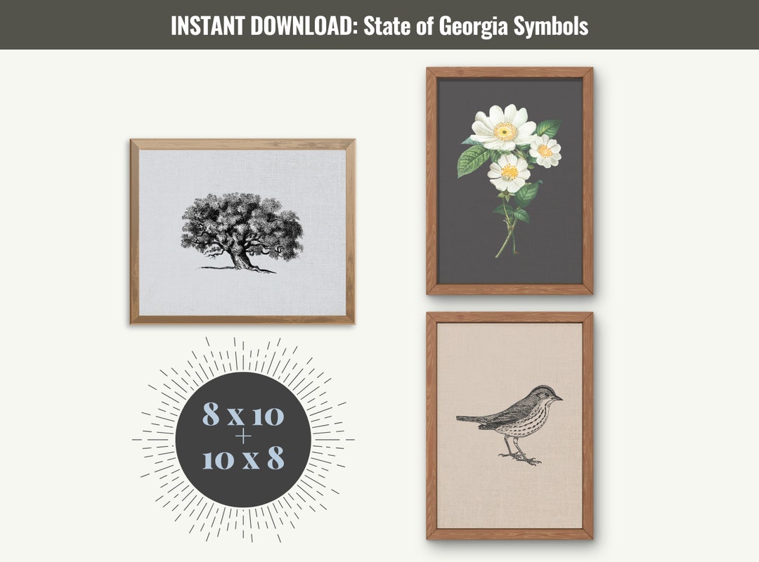 State of Georgia Wall Art, Atlanta Wall Decor, Cherokee Rose, Live Oak ...