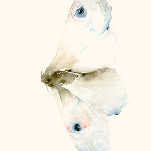 Watercolor Moth Art Print White Moth - Etsy