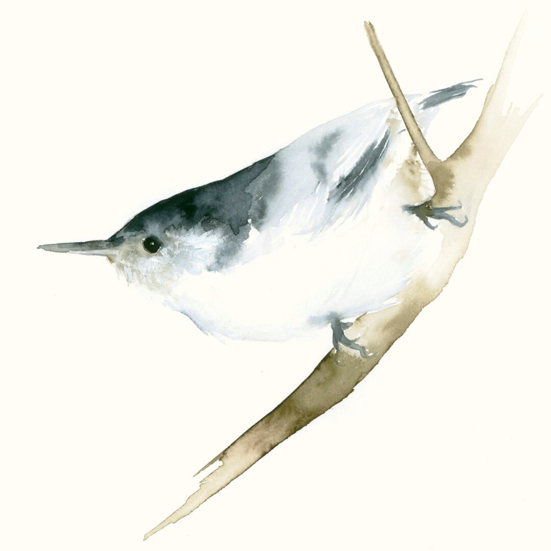 Nuthatch Bird Watercolor Art Print - Etsy