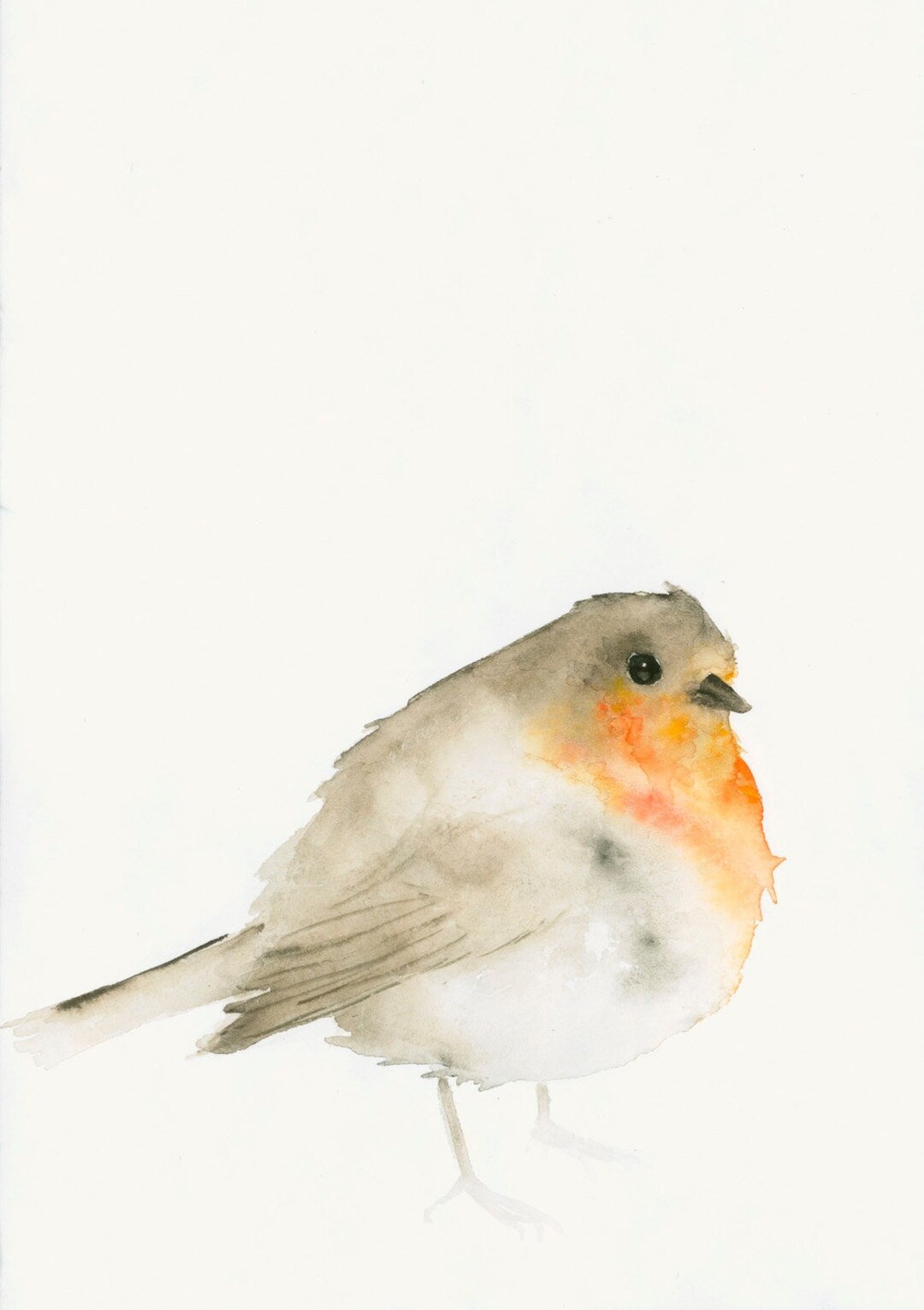 Watercolor Art Print Fluffed up Robin, 12x17 Cm on Artist Paper ...