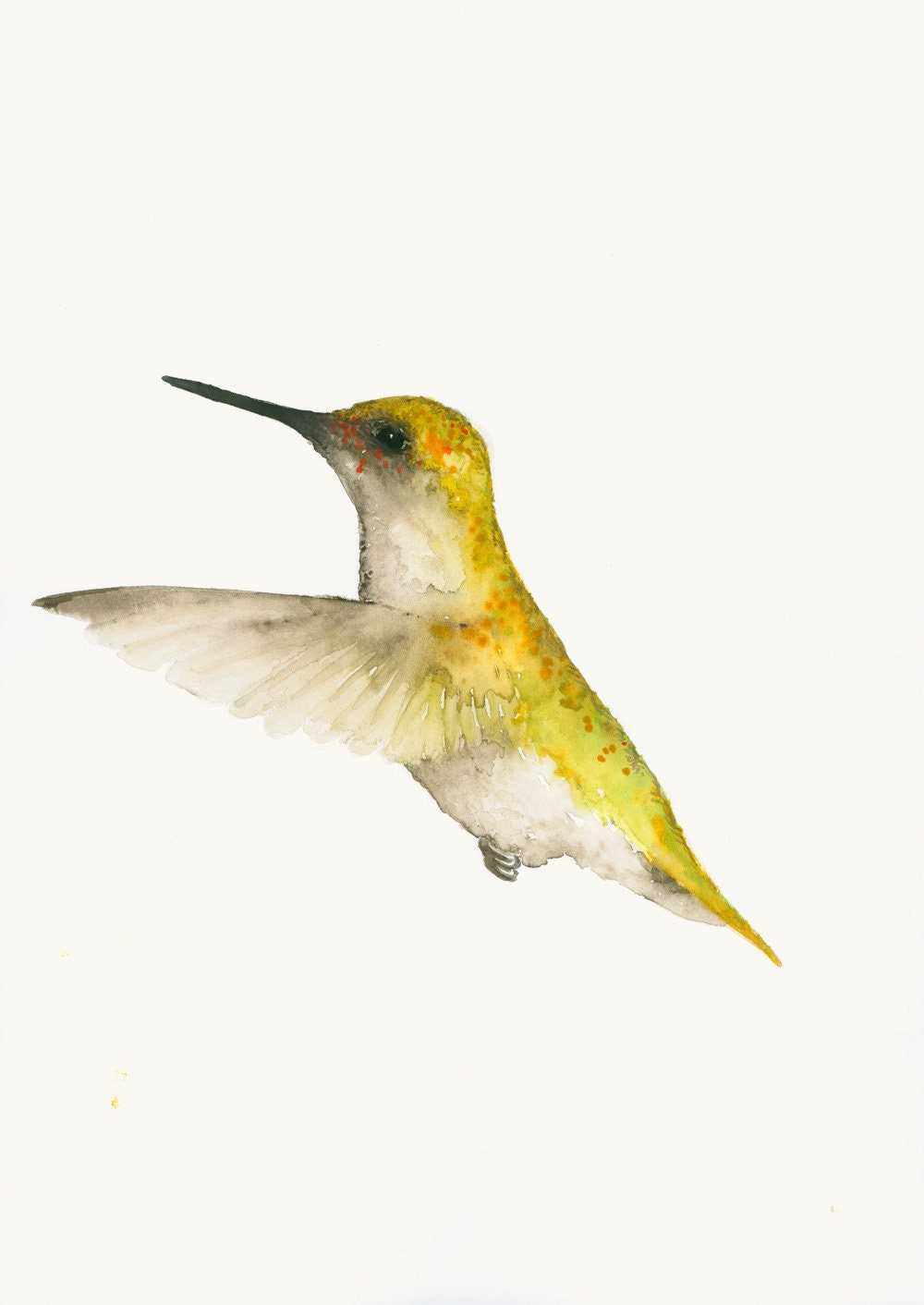 Yellow Hummingbirds