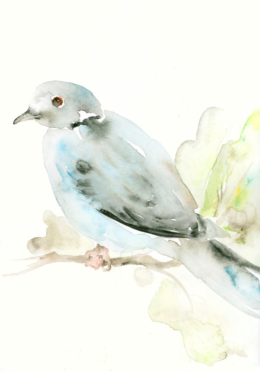 Bird Art Print From Original Watercolor Painting Little Grey Dove - Etsy