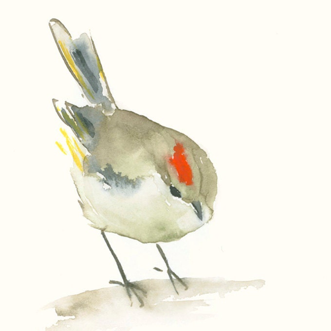 Fine Art Print From Original Watercolor Painting Ruby Crowned | Etsy