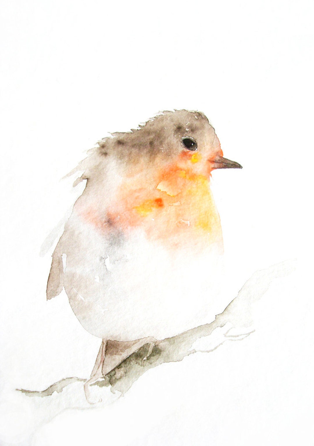 Red Robin Watercolor Bird Art Print From Original Watercolor - Etsy