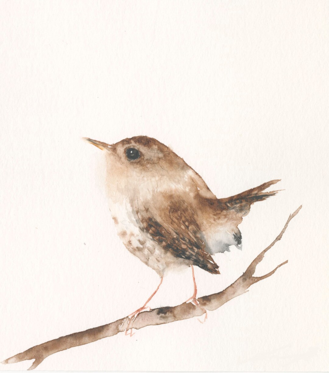 Wren Watercolor Art Print - Etsy