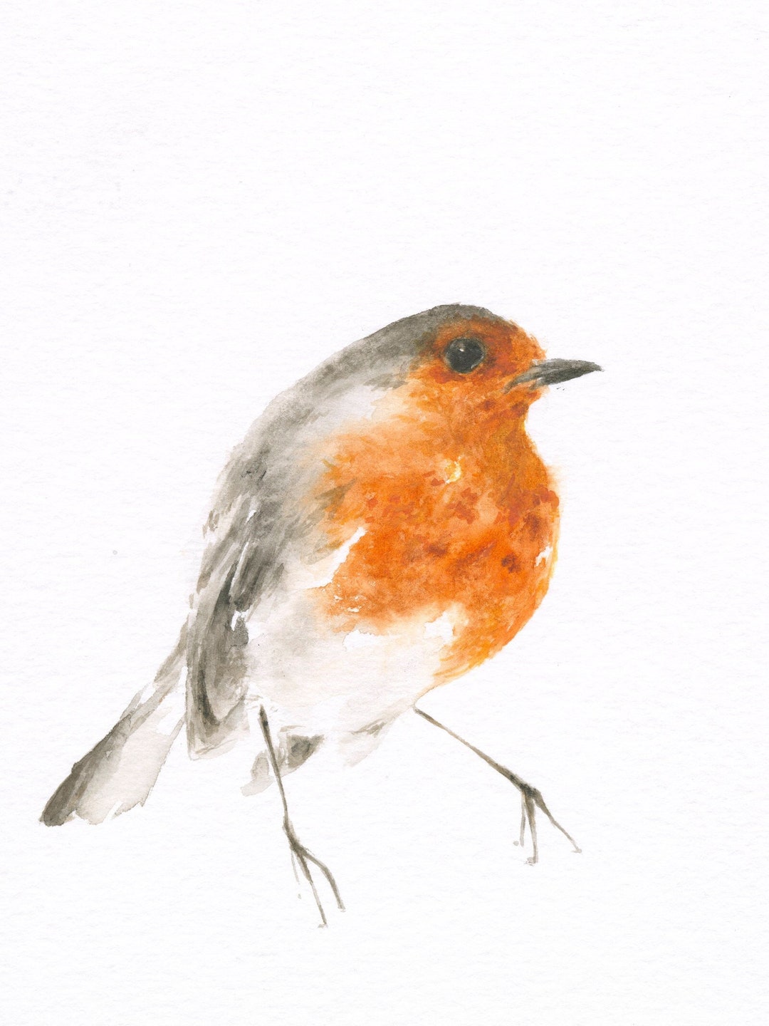 Fine Art Print From Original Bird Watercolor Robin Redbreast - Etsy