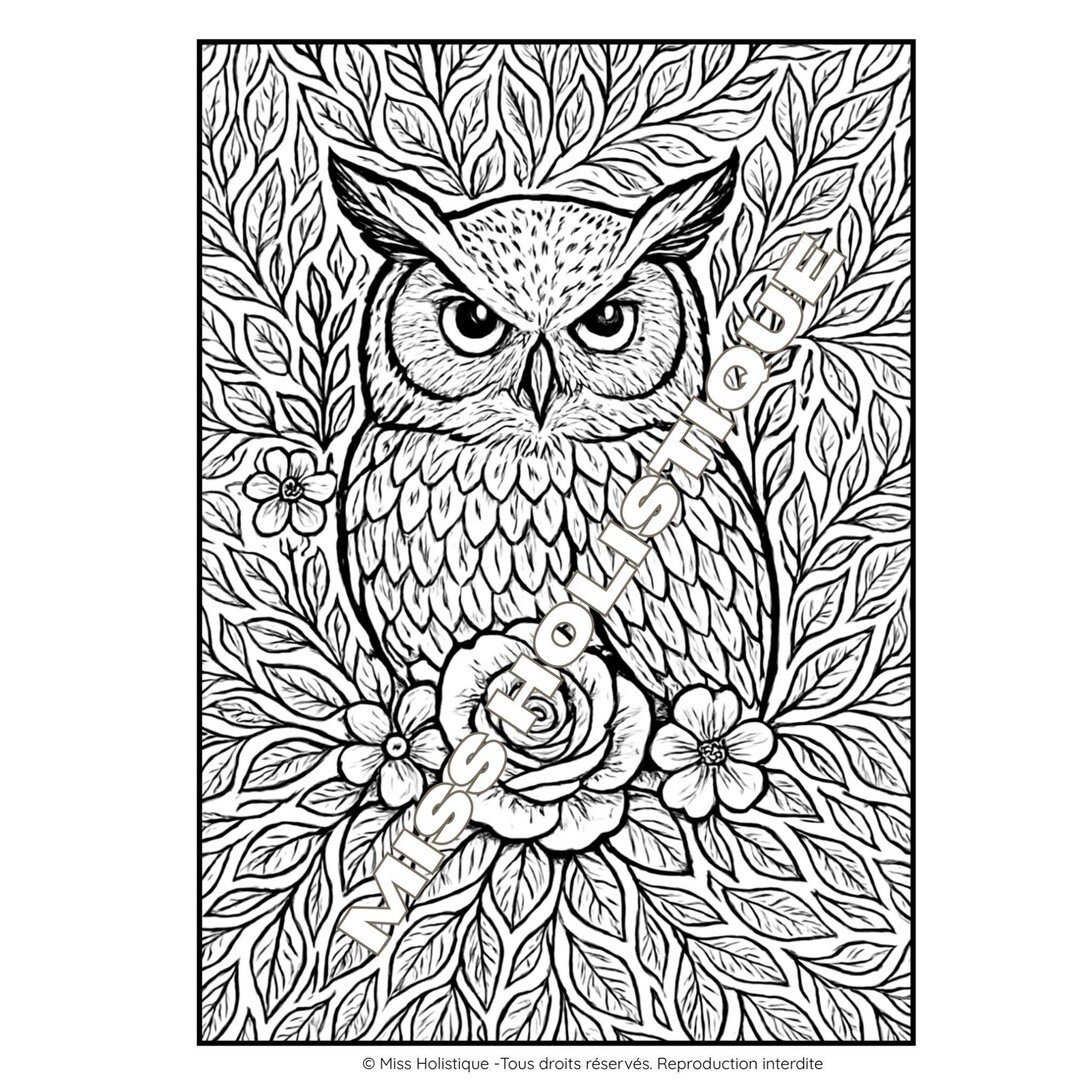 Owl Mandala Coloring Page - Printable PDF - Etsy Canada