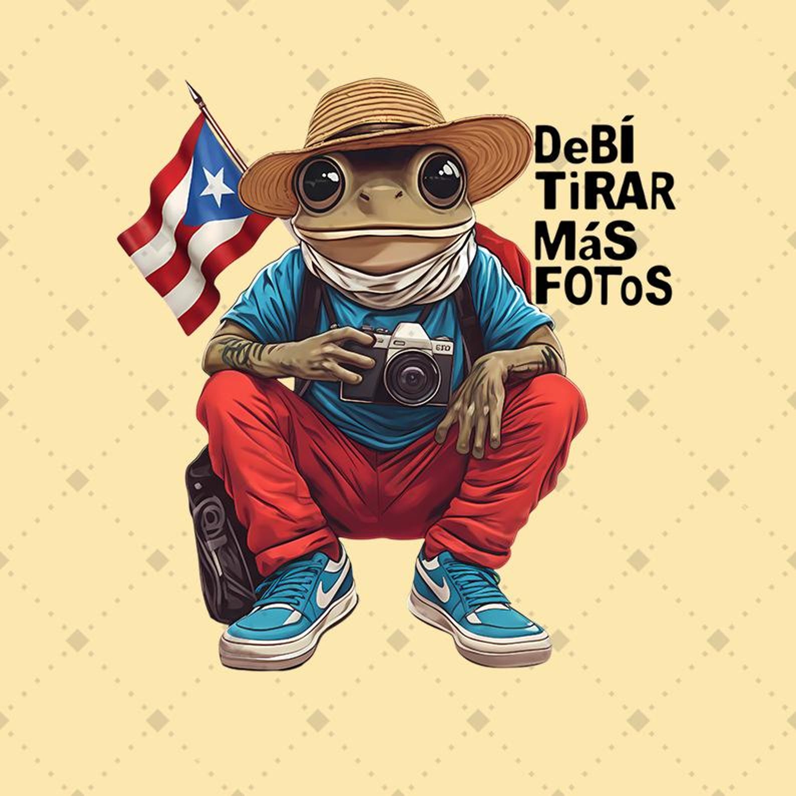 Debí Tirar Más Fotos Frog Meme PNG, Puerto Rico Flag Travel Photography ...