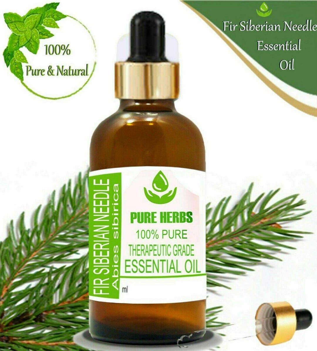 Fir Siberian Needle 100% Pure & Natural Abies Sibirica Essential Oil - Etsy