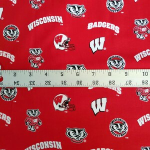 Wisconsin Badger - Etsy