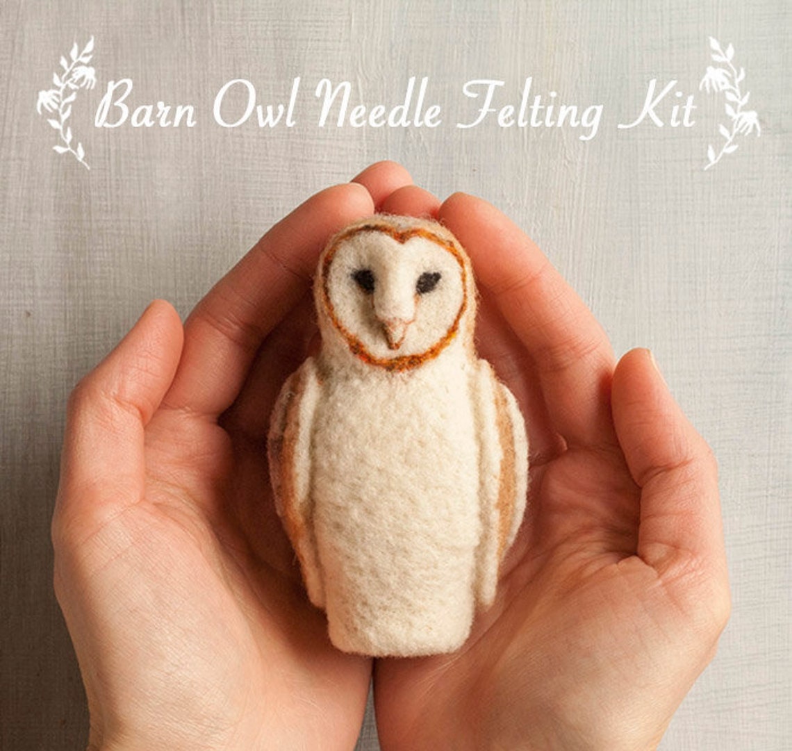 Needle Felting Kit Barn Owl Intermediate DIY Craft Kit | Etsy