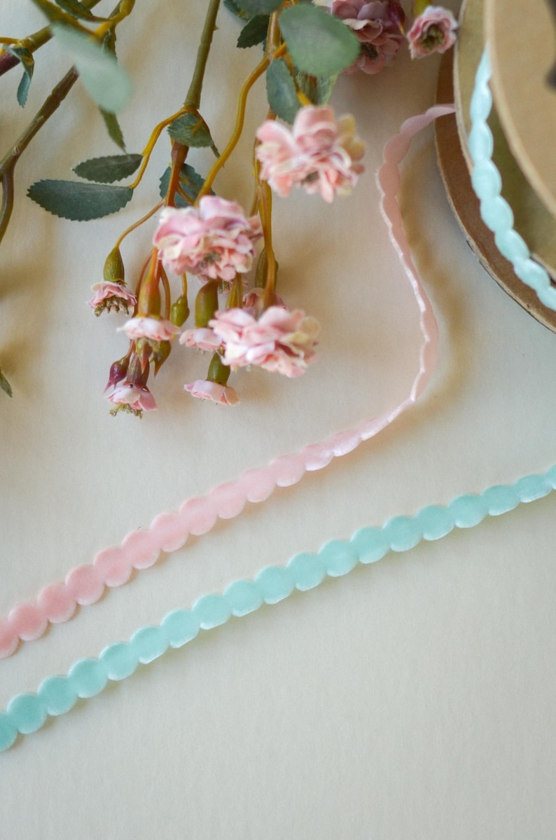 Limited Velvet Scalloped Vintage Ribbon Blush Pink Robin’s Egg Blue ...