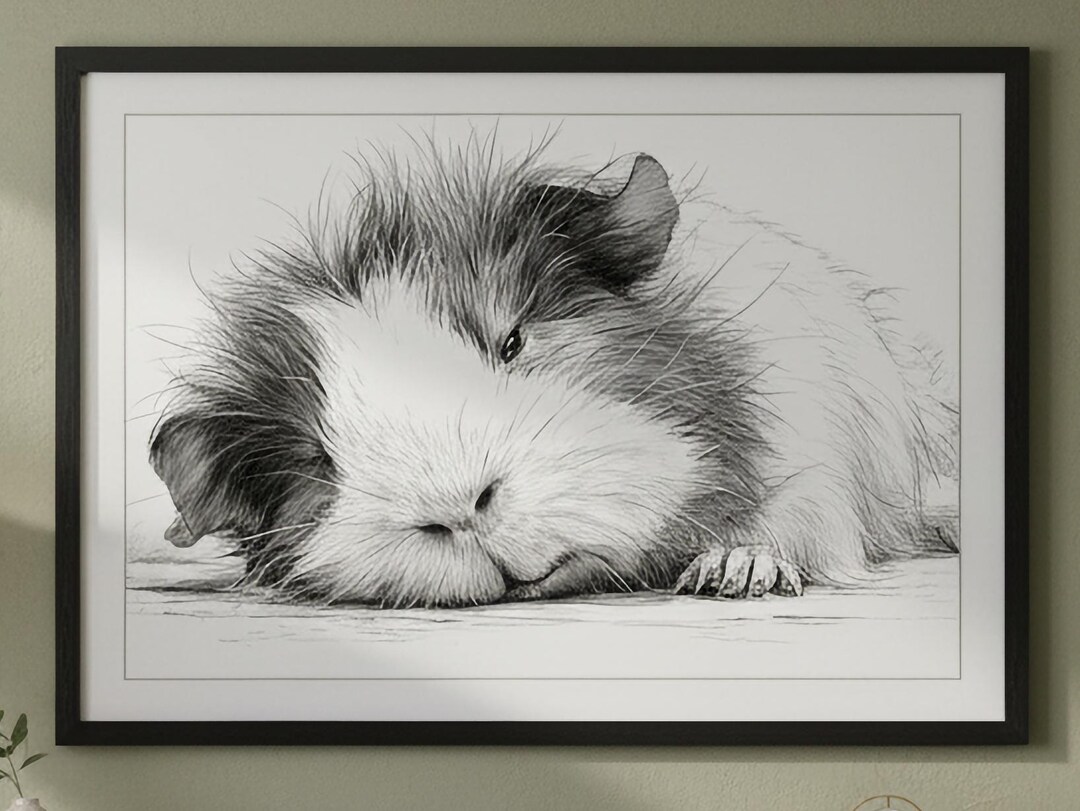 Sleepy Guinea Pig Pen and Ink Drawing Matte Horizontal Poster | Black ...