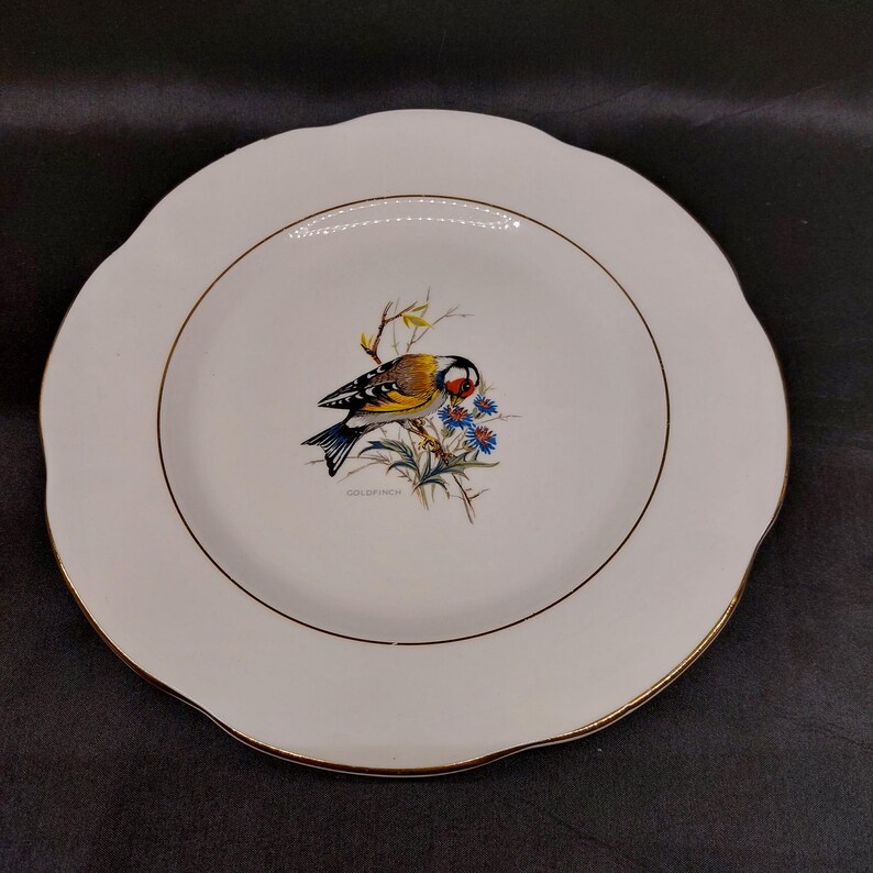 Goldfinch Fine Bone China Plate by Rosina China Co. Ltd - Etsy