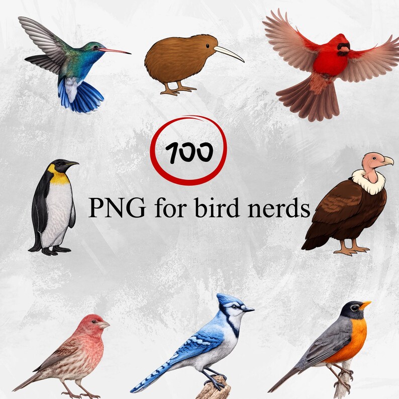 100 Bird PNG Bundle for Bird Nerds | Birding & Bird Watching Art | Gift ...