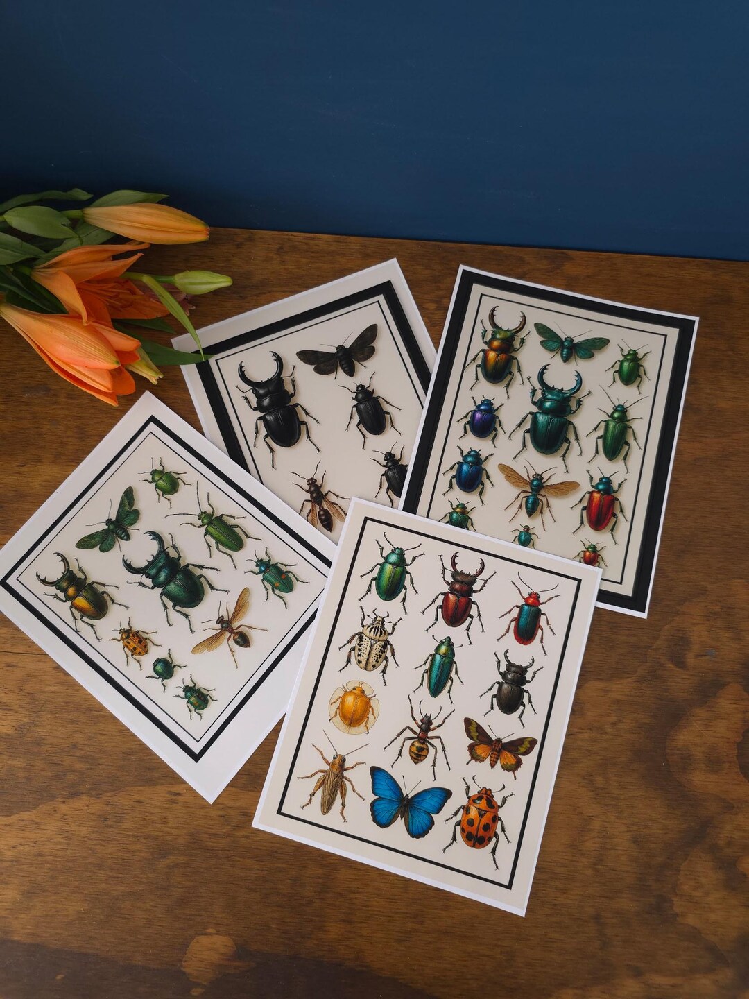 Set of 4 Printable Hyper Realistic Insect Wall Art , 8x10 Entomology ...