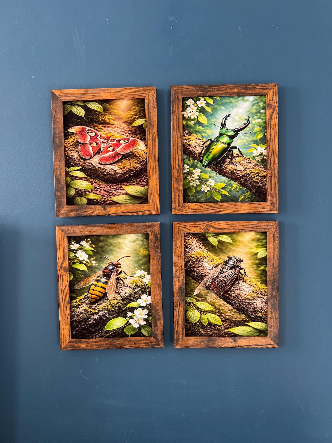 Hyper Realistic Insect Print Set of 4, Nature Wall Art Prints ...