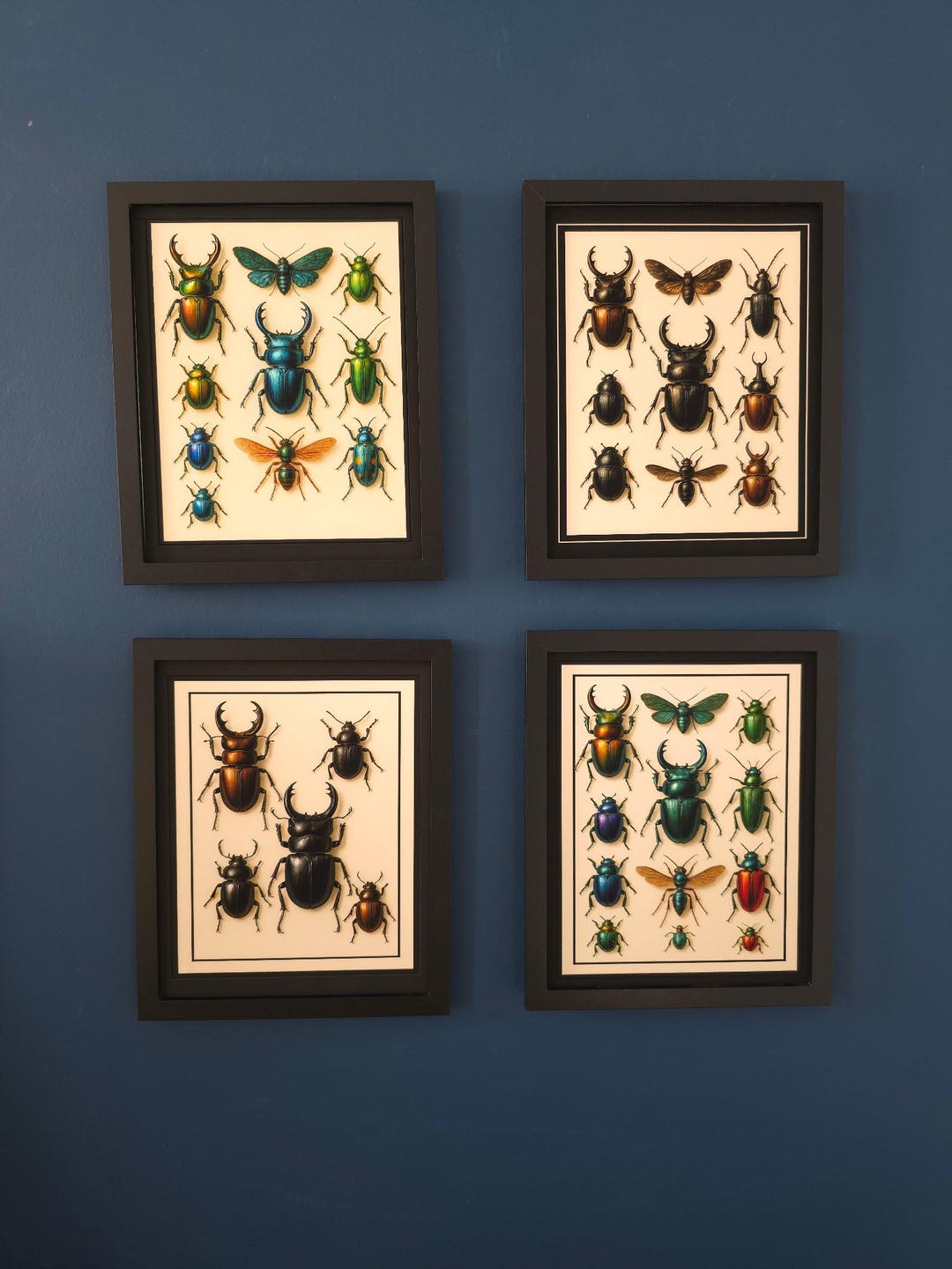 Set of 4 Printed Hyper Realistic Insect Wall Art Prints, 8x10 Vintage ...