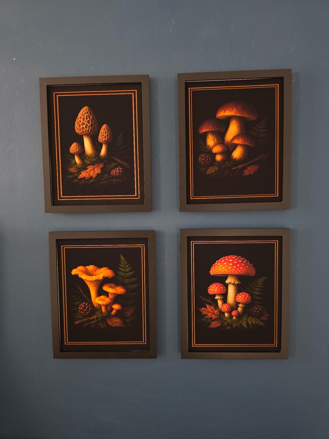 Set of 4 Hyper Realistic Mushroom Wall Art Prints, 8x10 Botanical Fungi ...