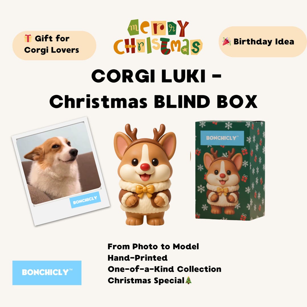Rudolph LUKI Corgi Christmas Figurine – Holiday Blind Box Collectible ...