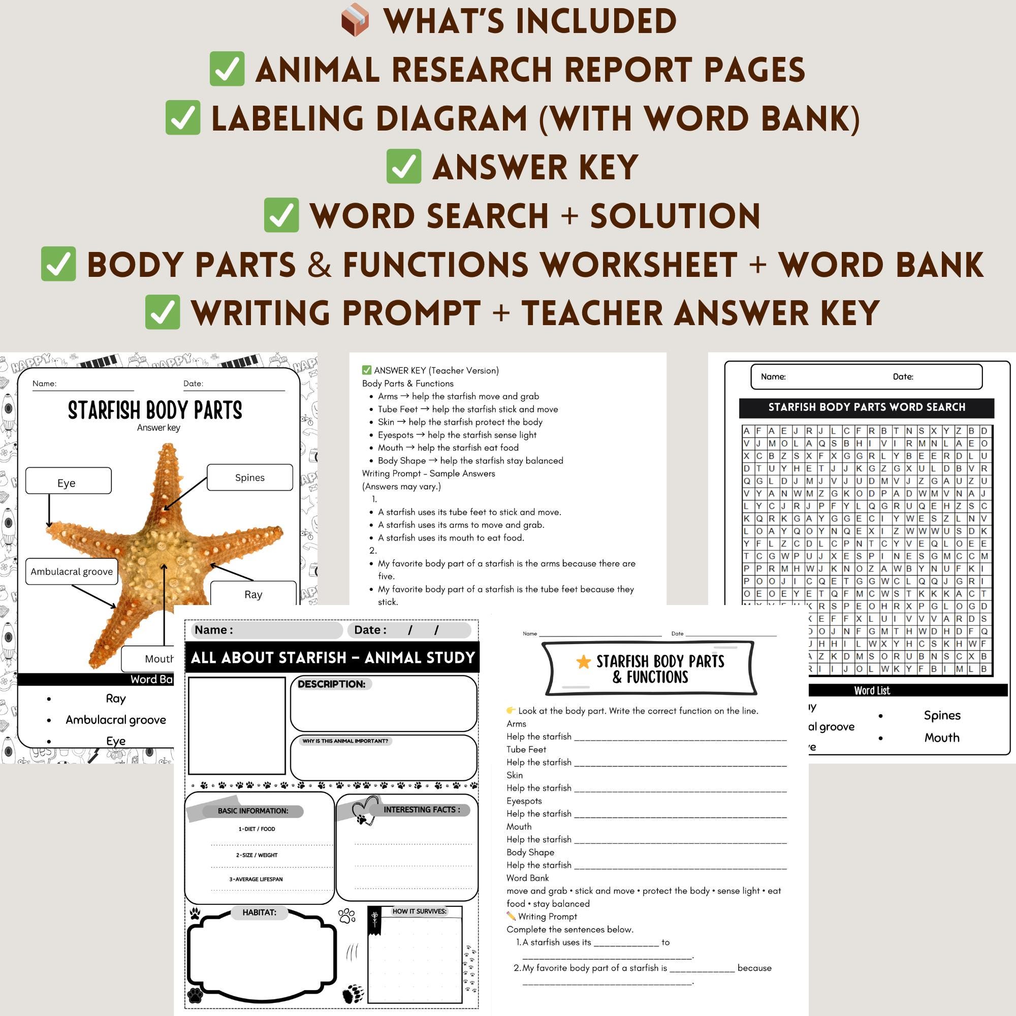 All About Starfish Worksheet for Kids, Starfish Anatomy Labeling ...