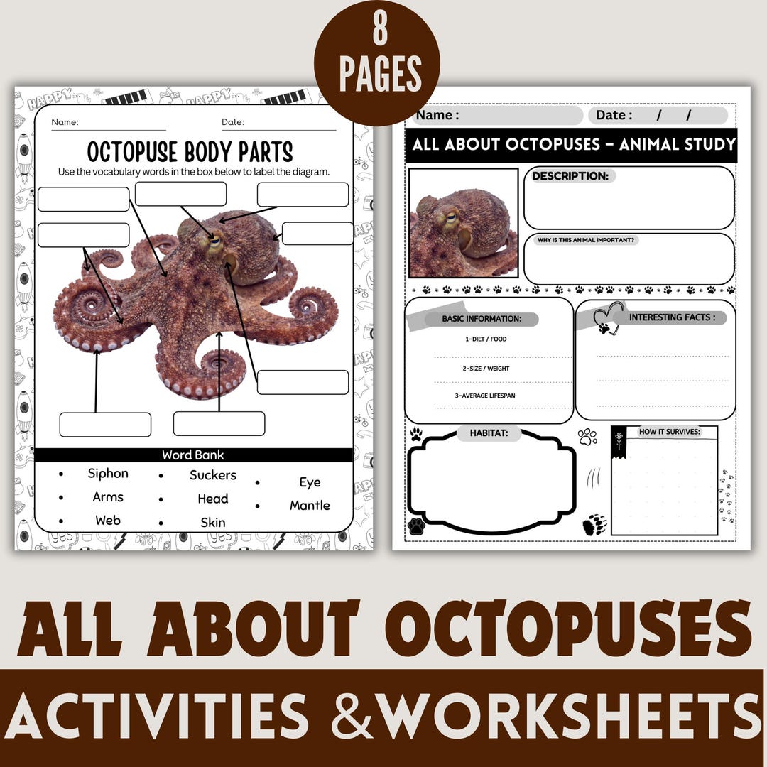 All About Octopus Worksheet for Kids, Octopus Anatomy Body Parts ...