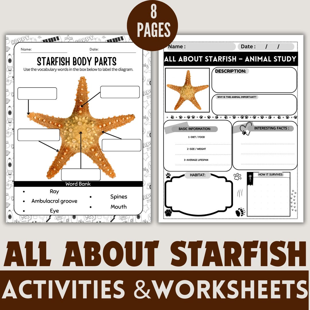 All About Starfish Worksheet for Kids, Starfish Anatomy Labeling ...