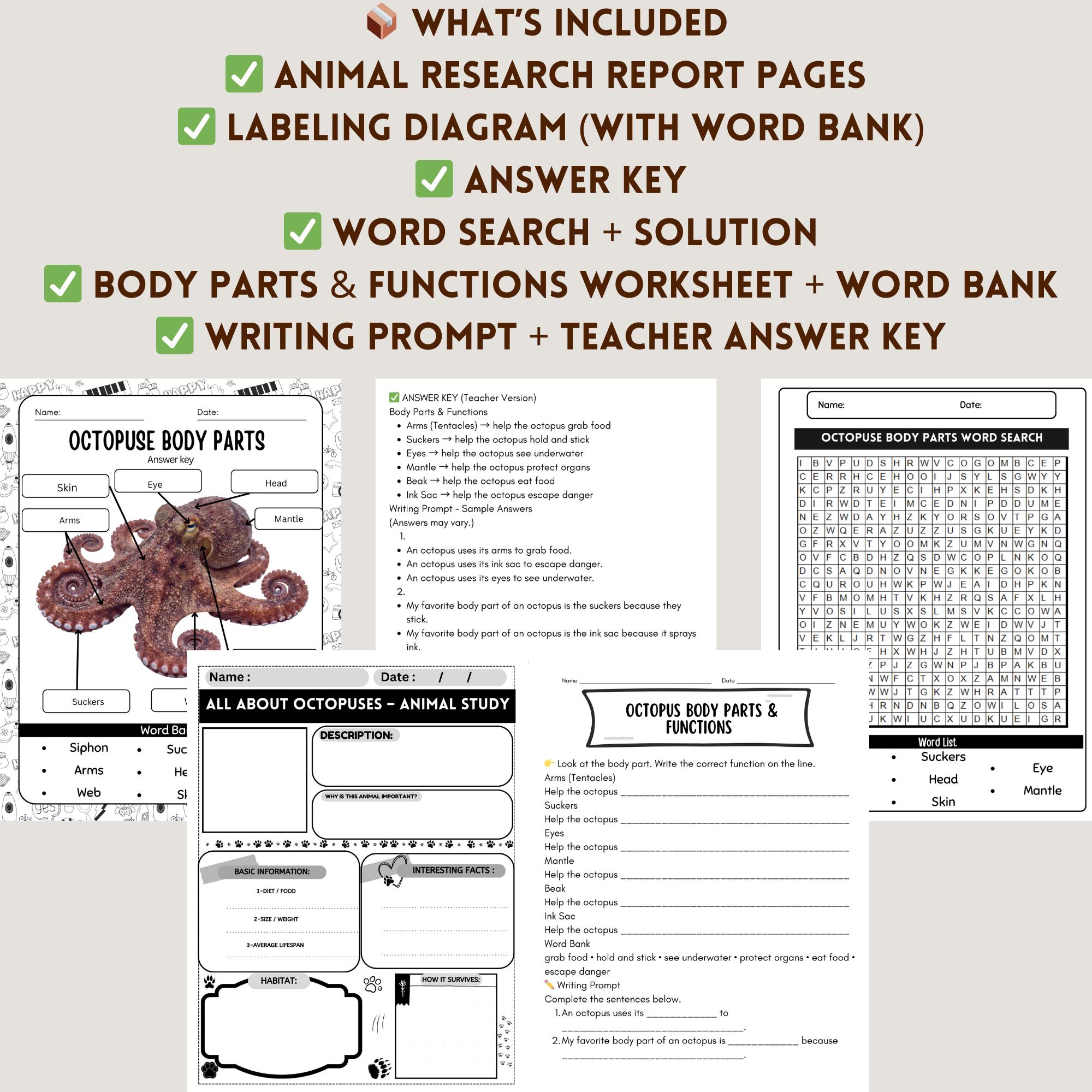 All About Octopus Worksheet for Kids, Octopus Anatomy Body Parts ...