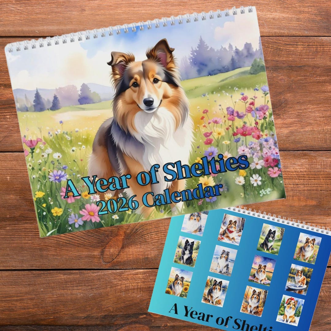 A Year of Shelties - 2026 Wall Calendar / Bi-black, Sable, Tri-color ...