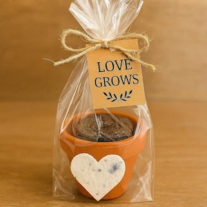Love Grows – Wildflower Seed Gift - Etsy
