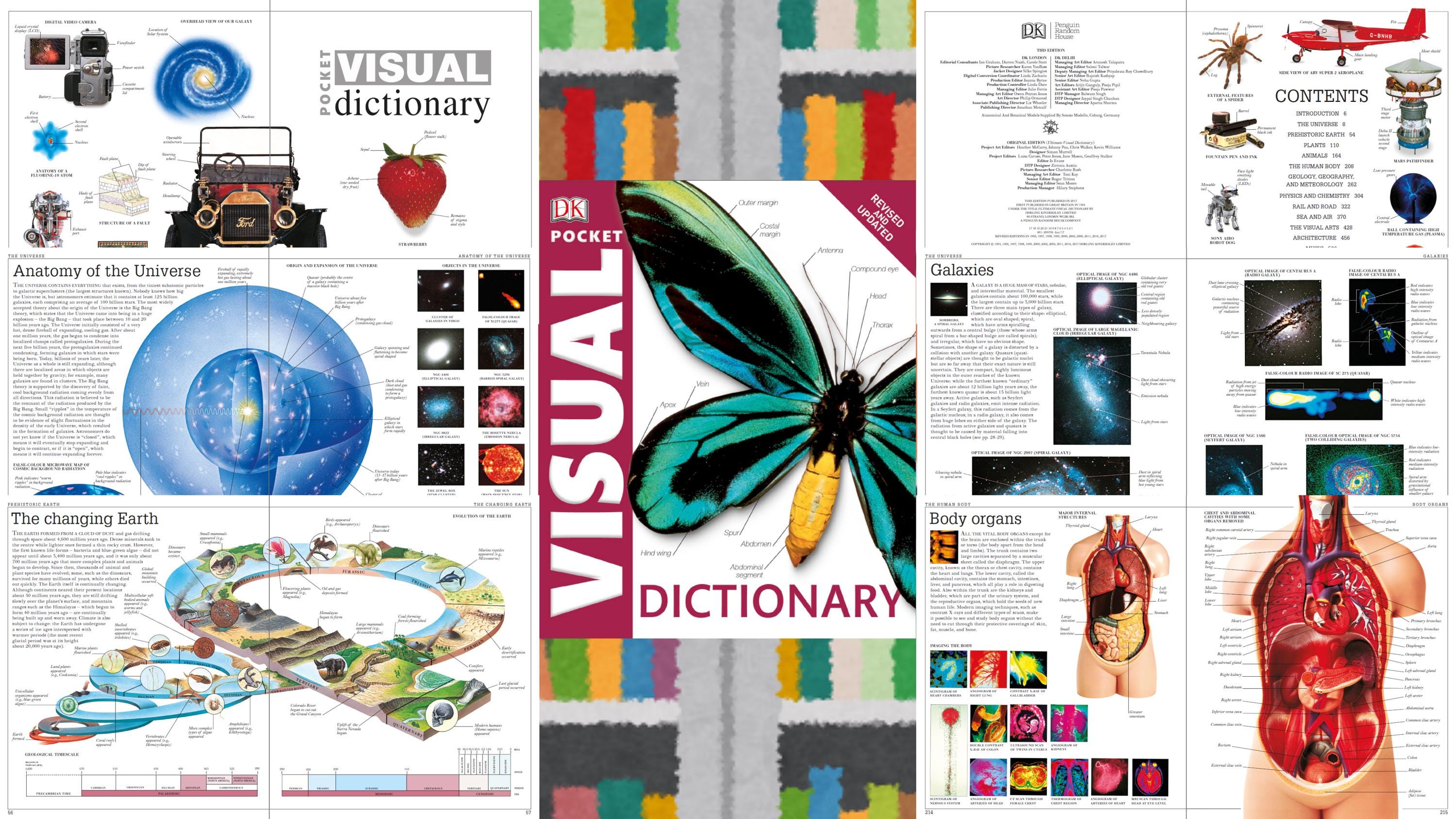 Visual Dictionary for Kids | Illustrated Learning E-books Bundle ...