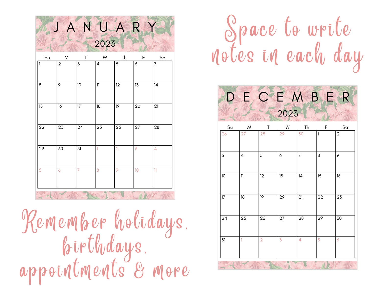 Printable 2023 Calendar, Digital Calendar, PDF Calendar, Instant ...