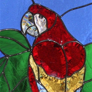 Stained Glass Parrot Window Panel, Beveled Tropical Bird Art - Etsy