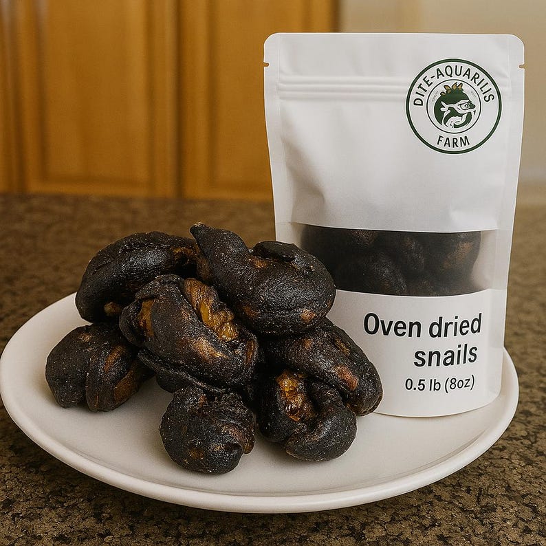 Oven-dried Snails: 10 Natural, Farm-raised - 10 Medium and Small - Etsy
