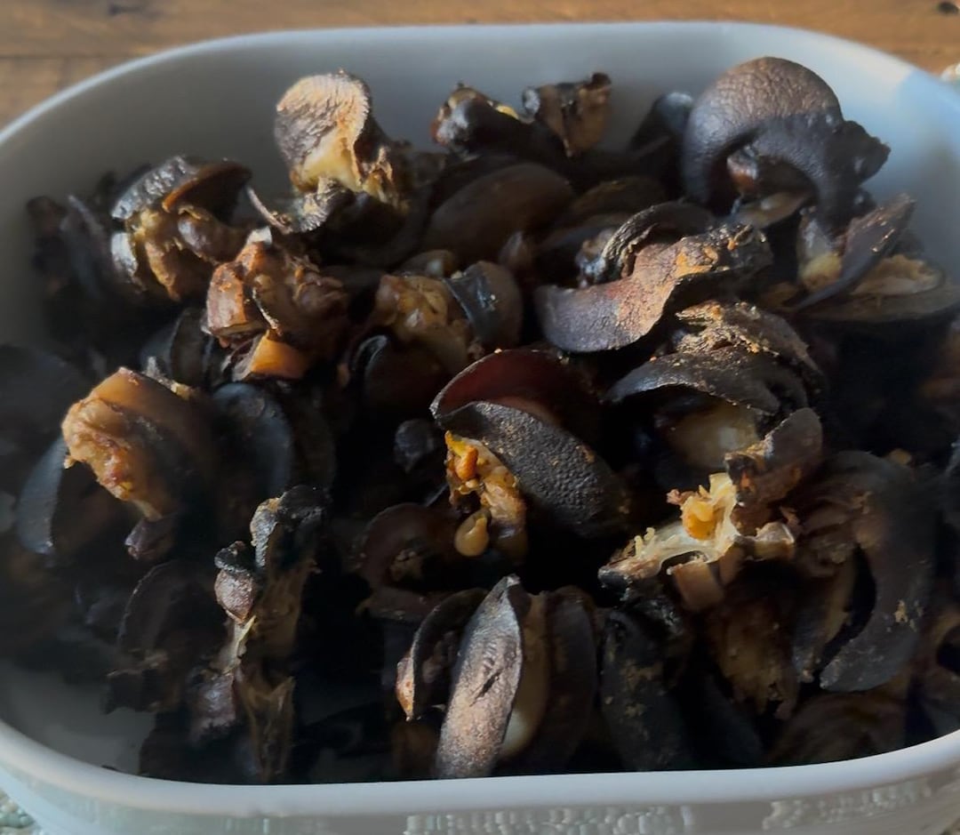 10 Large Oven-dried Snails: Natural, Farm-raised - Etsy