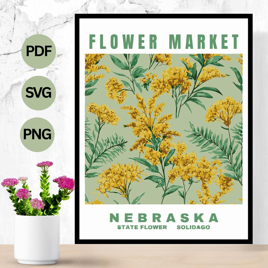 Goldenrod Nebraska State Flower Paint-by-number (digital Download) - Etsy