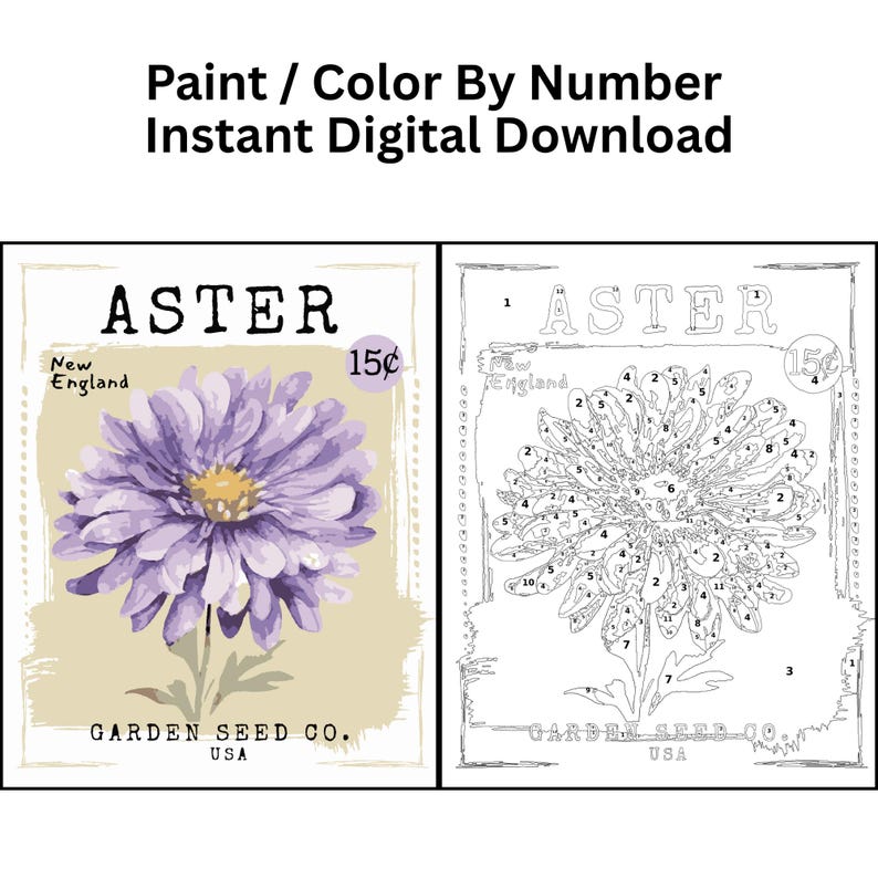 Vintage Aster Floral Paint-by-number: Seed Packet Art (digital Download ...