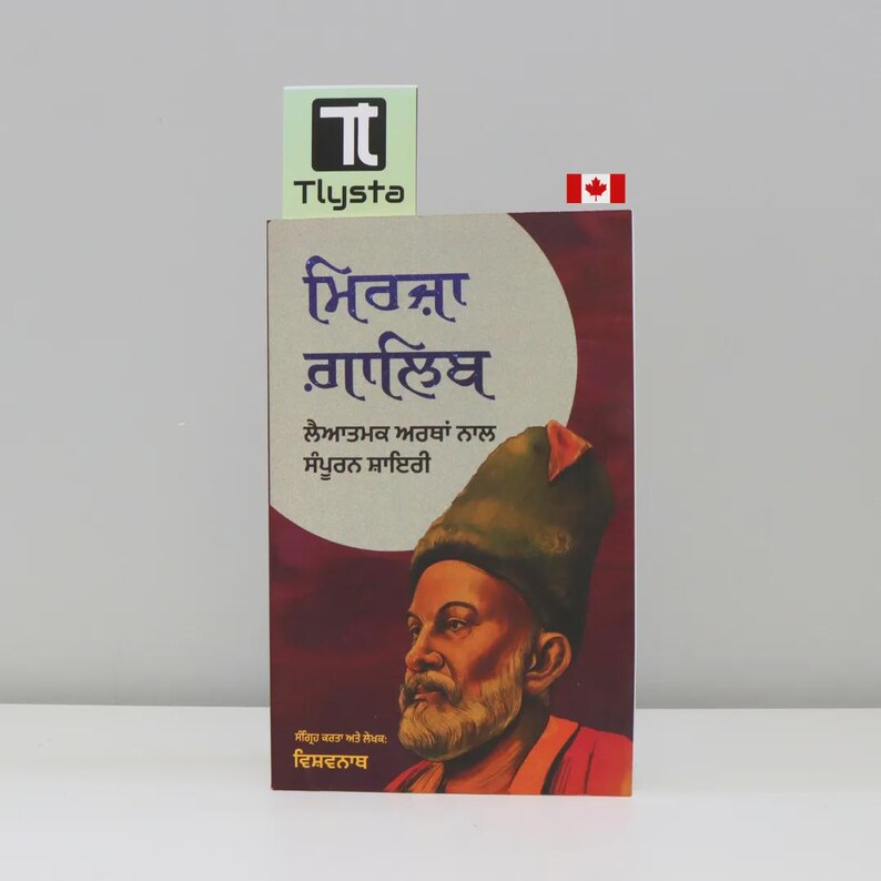 Mirza Galib by Vishavnath - Punjabi Poetry Book - Etsy
