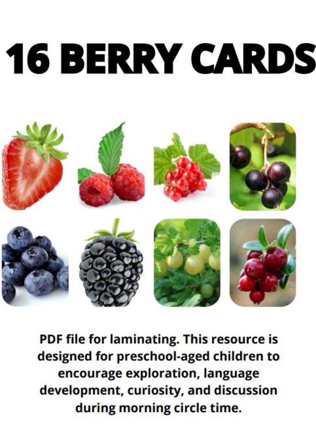 Berry Flashcards: Preschool Learning, Language Development (PDF ...