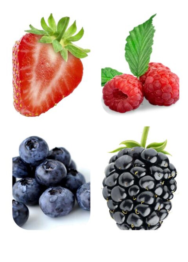 Berry Flashcards: Preschool Learning, Language Development (PDF ...