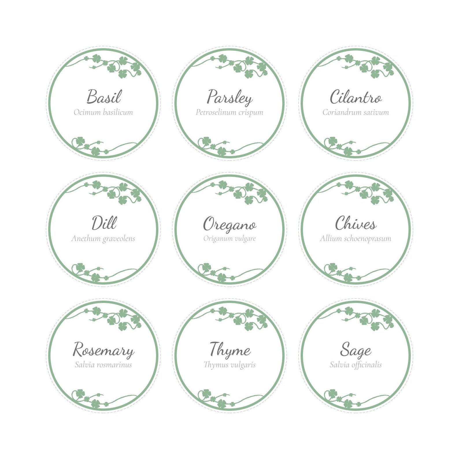 Printable Herb Jar Labels – Vintage Herb Stickers – Digital Download - Etsy