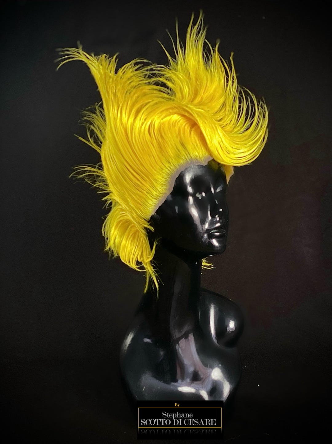 PLASMA PUNK Flamboyant Creation Full of Punk-pop Energy, Between Cyber ...