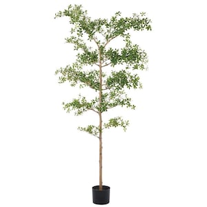 Faux Black Olive, Shady Lady Tree 7’ Tall - Etsy