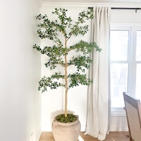 Faux Black Olive Tree, Shady Lady Tree, Black Olive Tree, Olive Tree - Etsy
